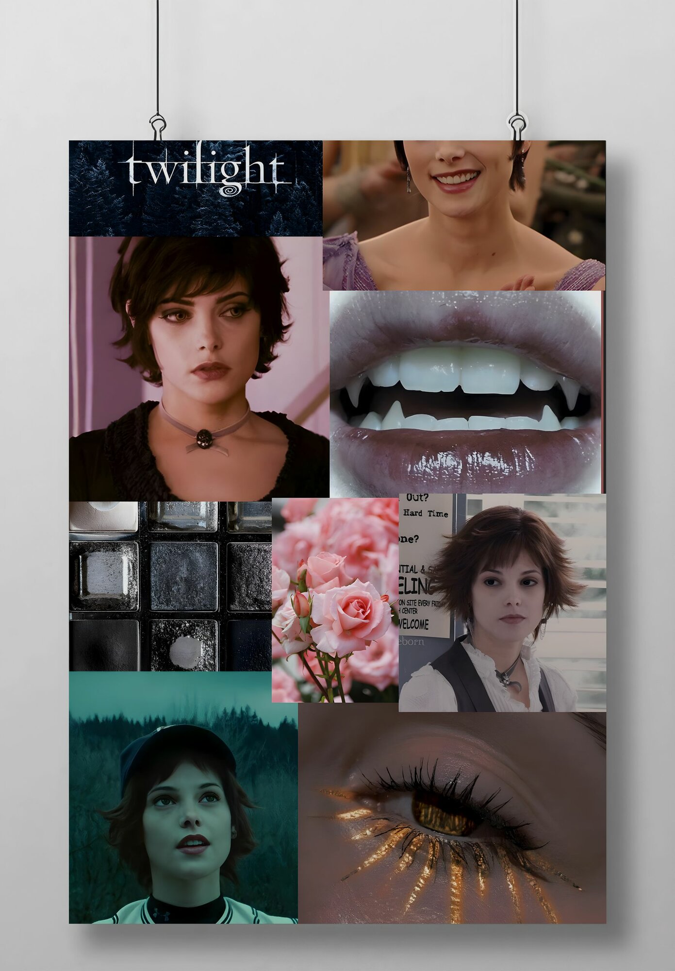Постер/Плакат Сумерки (Twilight)