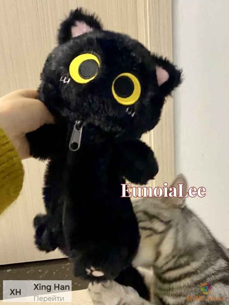 Школьный пенал для девочек, подходит для карандашей и кистей, cat Кукольная сумка.