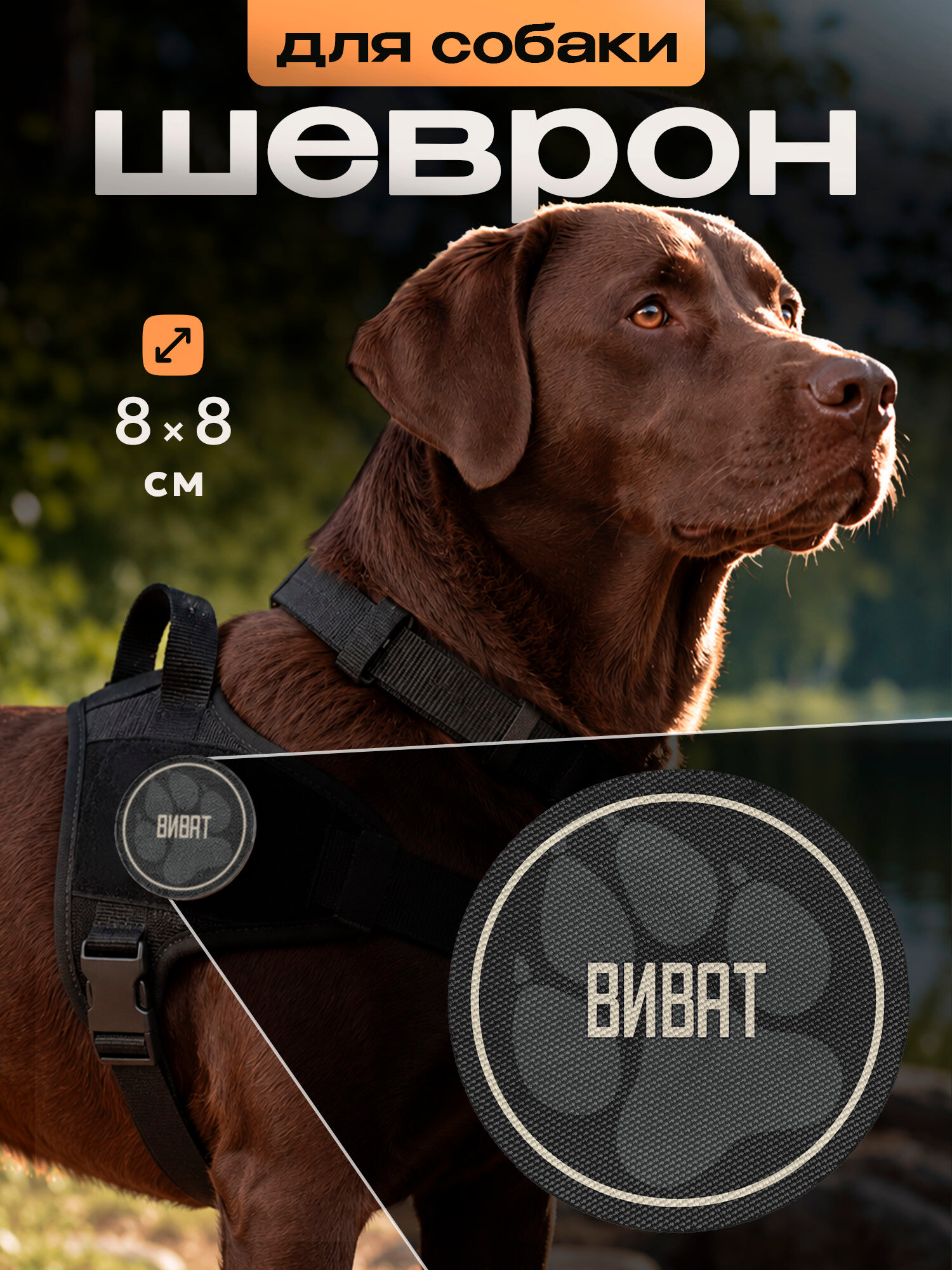 Шеврон IREVIVE , круглый 8 см, Виват , на липучке, для формы, военному