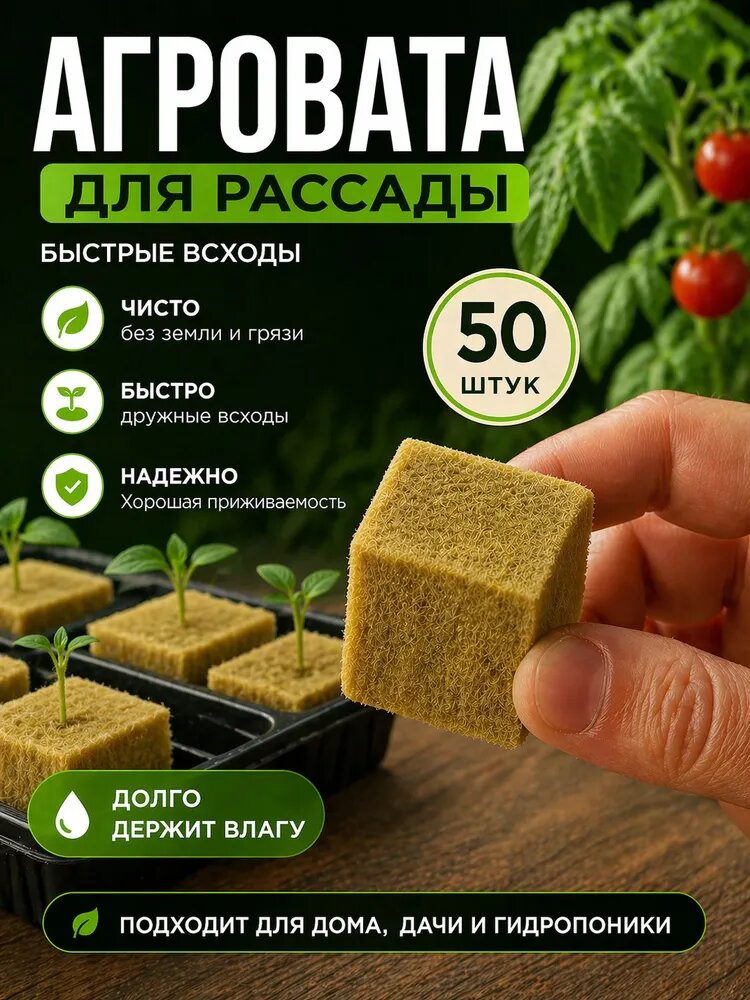 Грунт