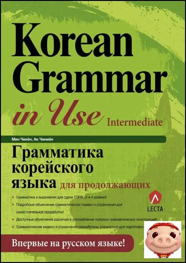 Korean Grammar in Use Intermediate Грамматика корейского языка для продолжающих TOPIK II подготовка книга