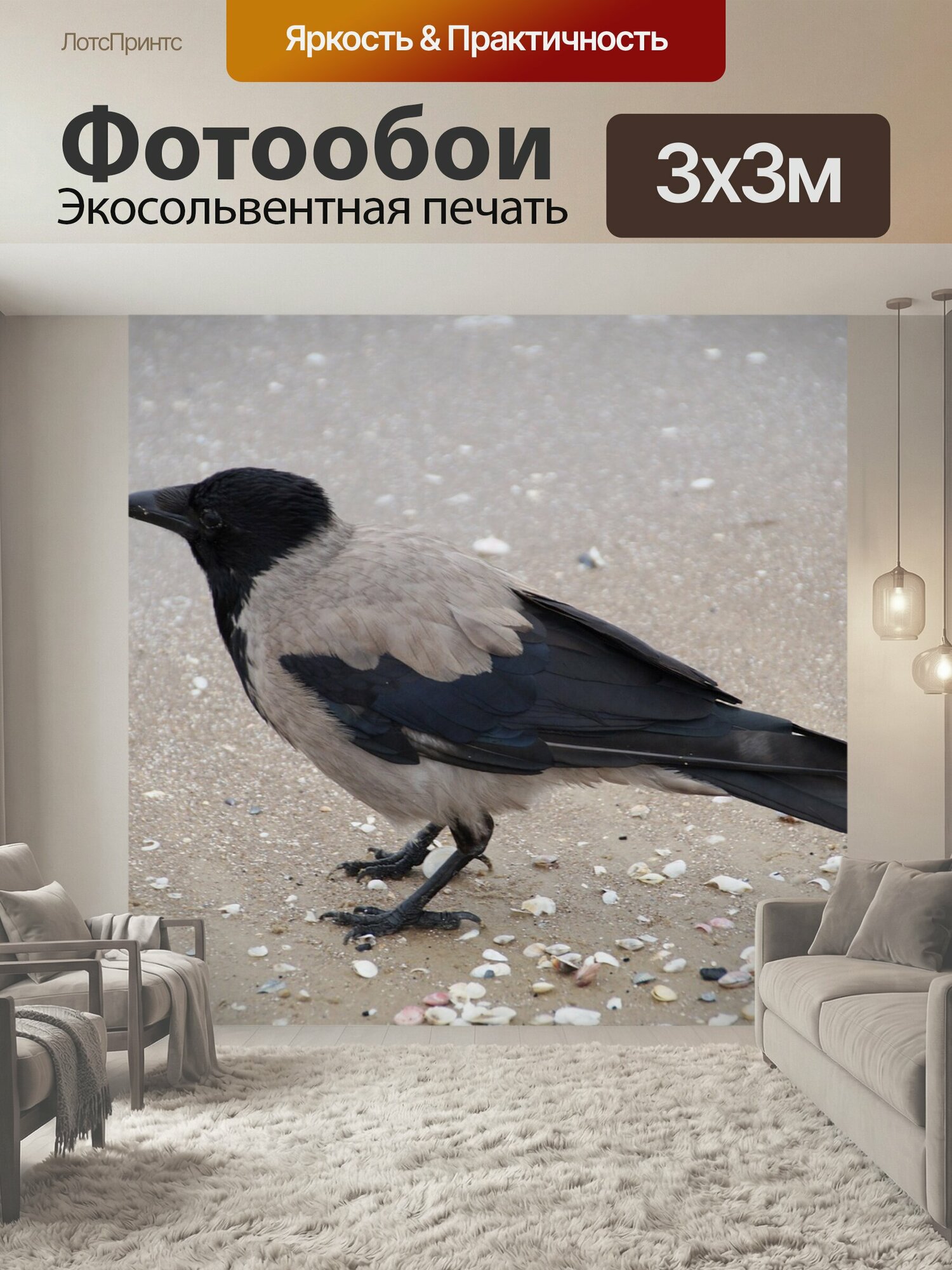 Фотообои "Ворона, серая ворона, пляж" 300x300 см. экосольвентная печать