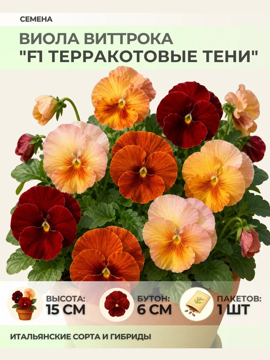 Виола "Терракотовые тени" F1, крупные бархатистые цветки, тёплая природная палитра, 1 упаковка, 5 шт. семян.