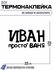 Термонаклейка имя Иван