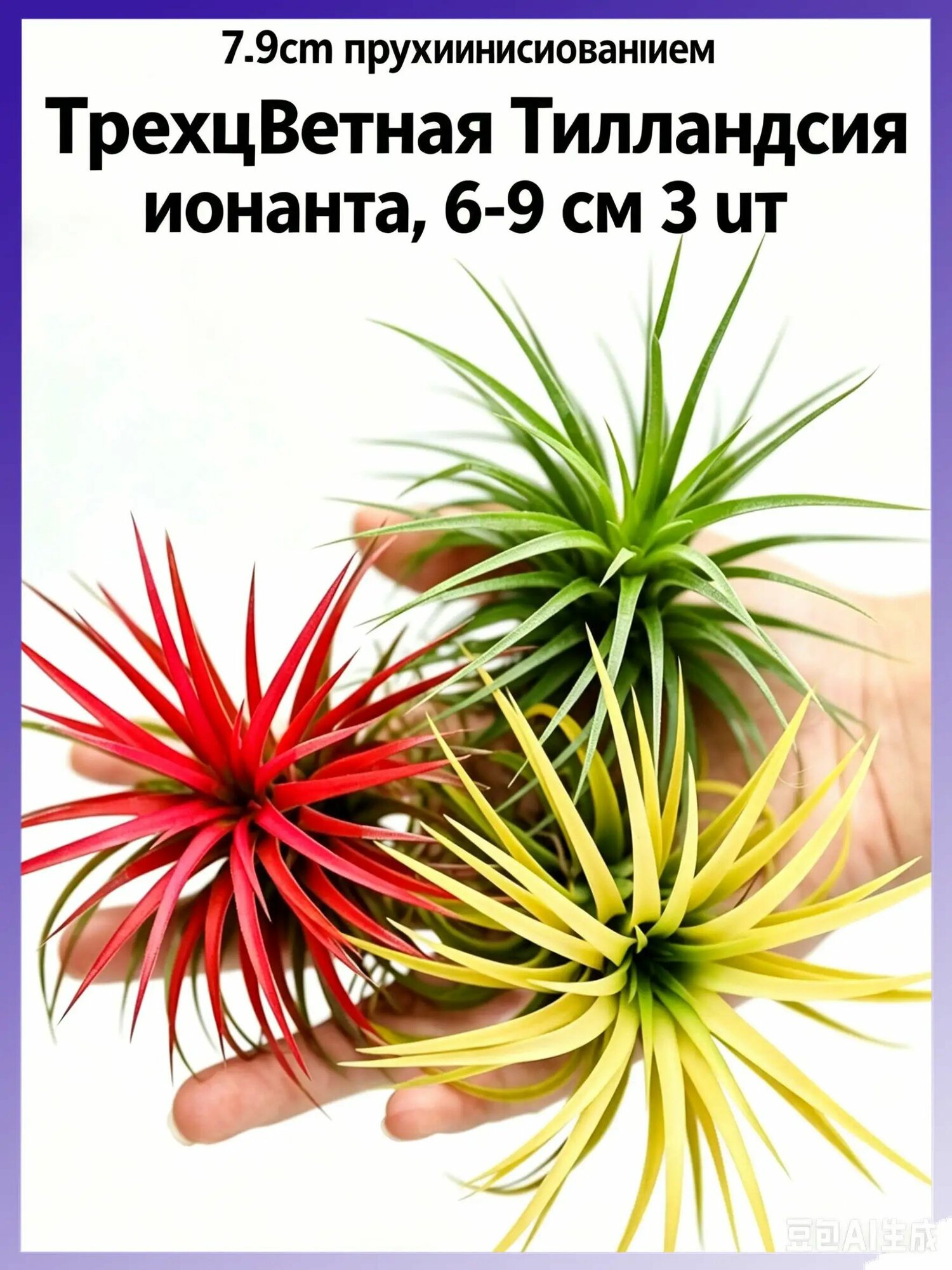 Тилландсия ионанта, Фуксид, Беклери, цвета красный, желтый, зеленый, декоративные воздушные растения для интерьера, 69 см, с 3 пружинными основаниями, не требующие грунта