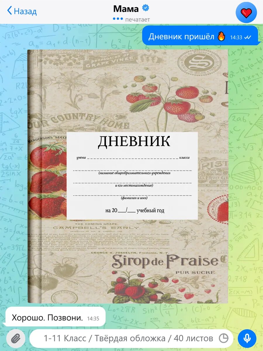 Школьный дневник с принтом y2k pinterest