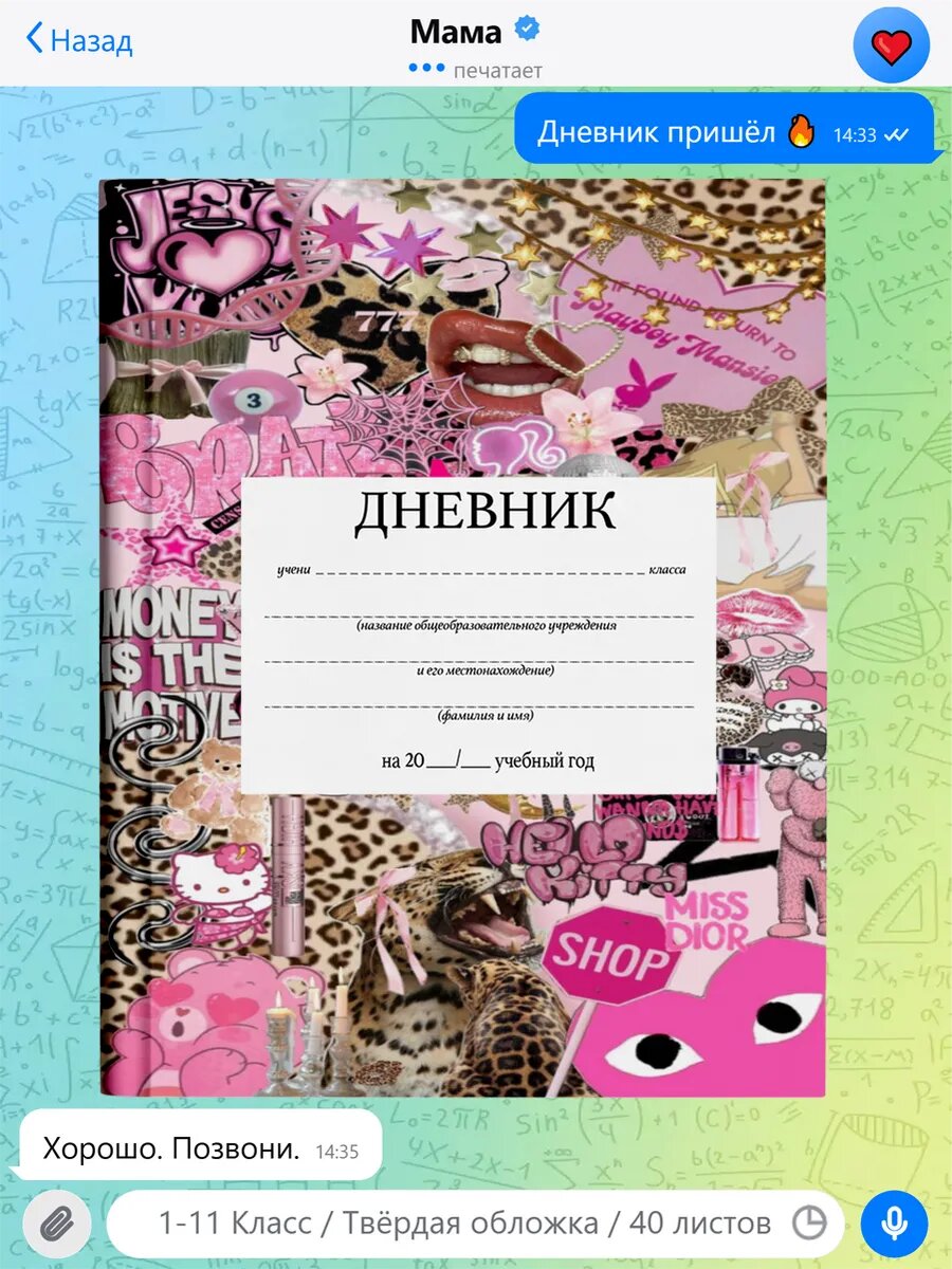 Школьный дневник с принтом y2k pinterest
