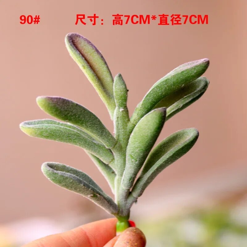 Искусственные суккуленты Wusmart Bonsai Зеленый, FG JiaoCao
