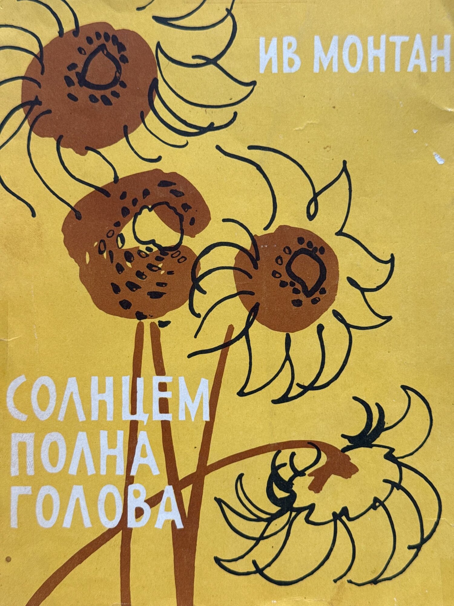 Солнцем полна голова