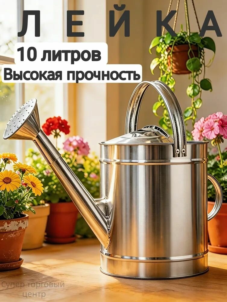Лейка, 10 л 1 шт