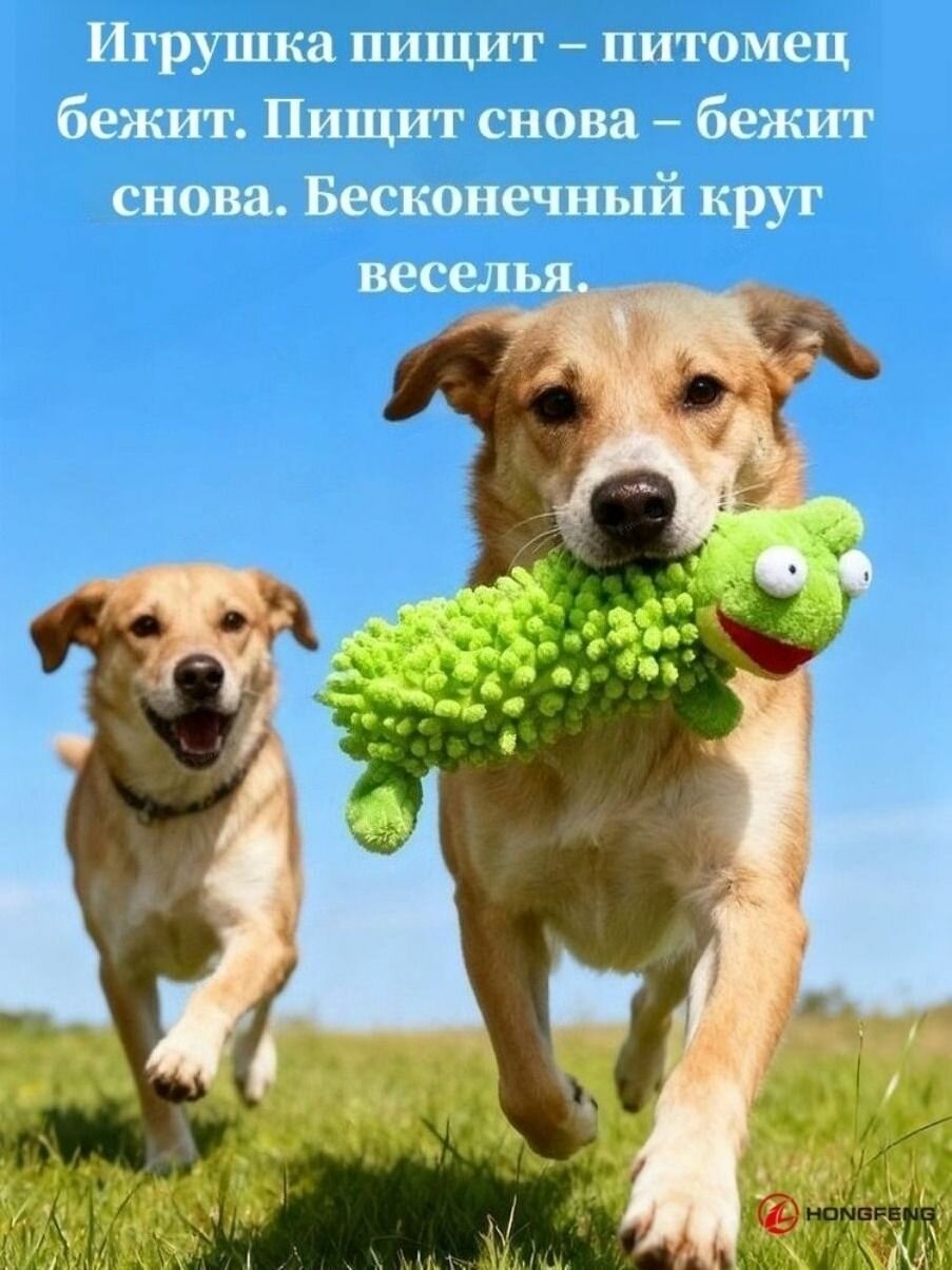 Мягкая игрушка для собак 25,5 см из плюша, курица, свинья, бегемот, для жевания и массажа десен