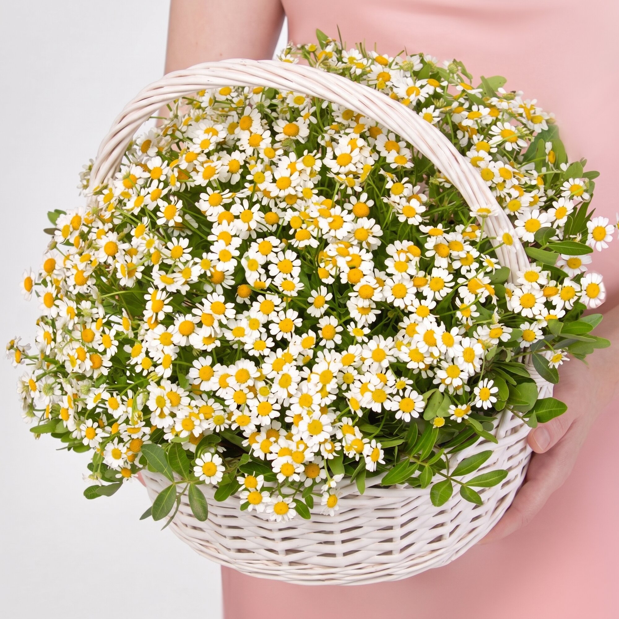 Композиция Мегацвет24 "Ромашка Кустовая", в корзине, 51 штук