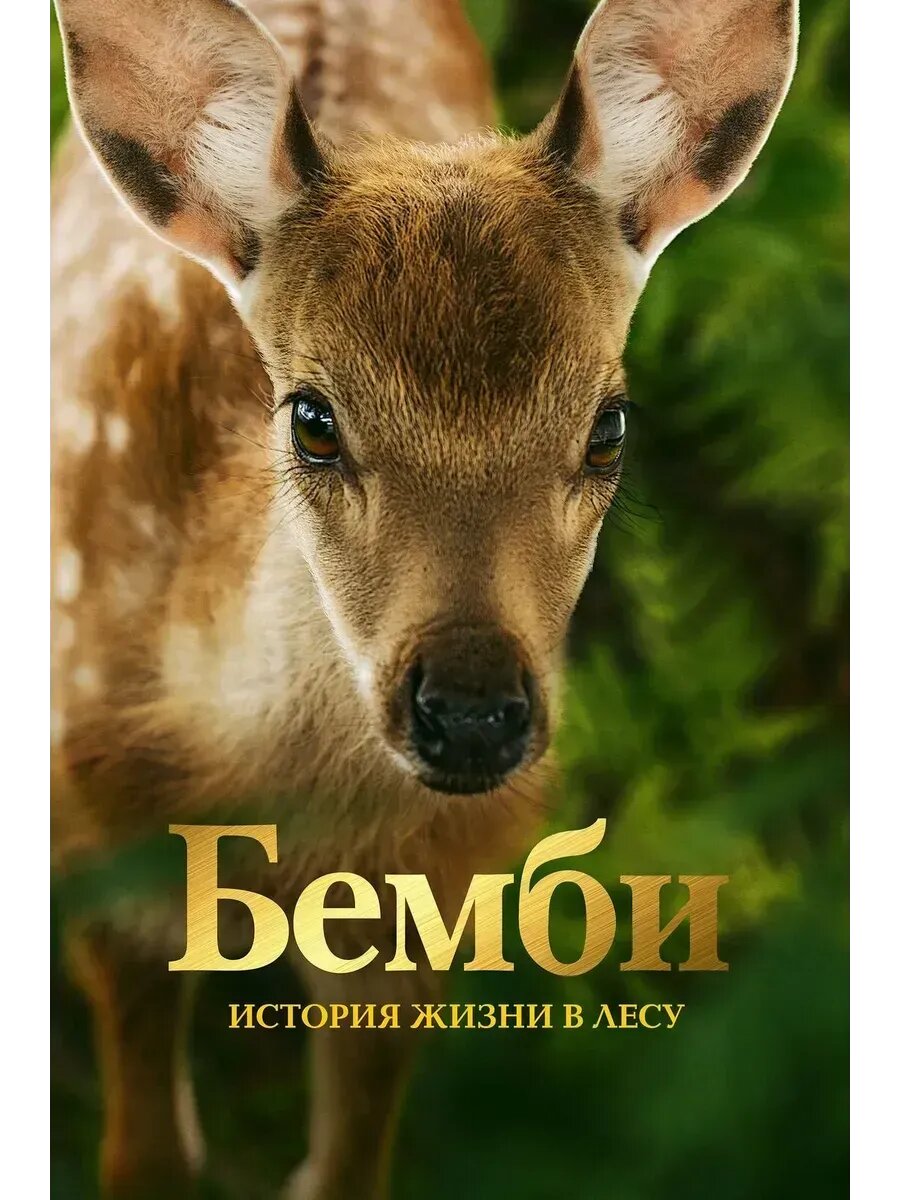 Бемби. История жизни в лесу (2024) (флешка)