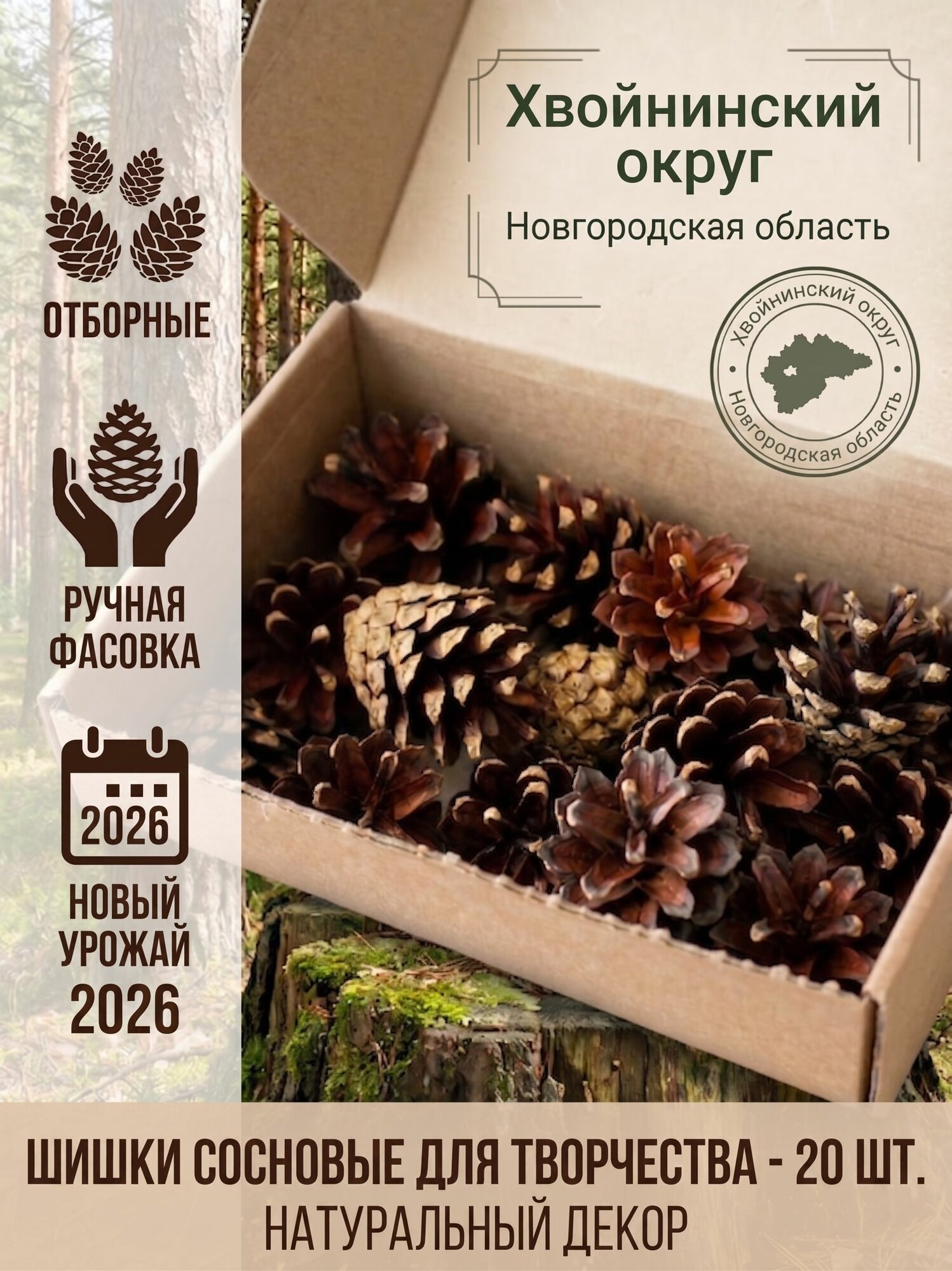 Шишки сосновые для декора и творчества натуральные, отборные 20 шт, Хвойнинский округ, новый урожай 2026