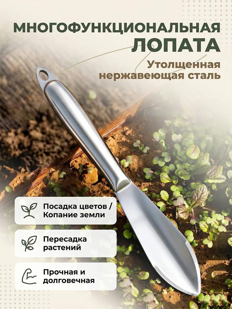 Корнеудалитель, рукоятьНержавеющая сталь