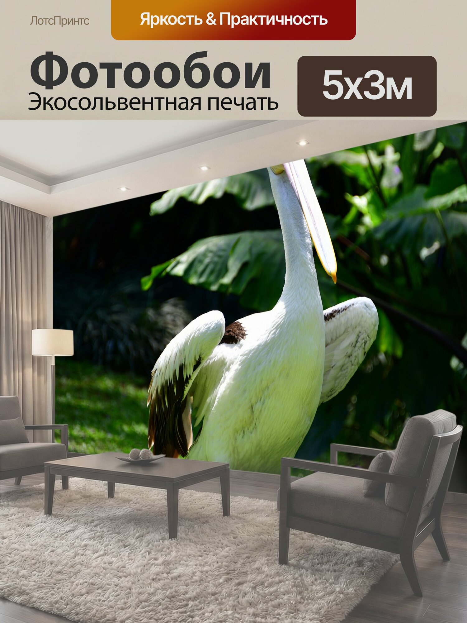 Фотообои "Пеликан, птица, природа" 500x300 см. экосольвентная печать
