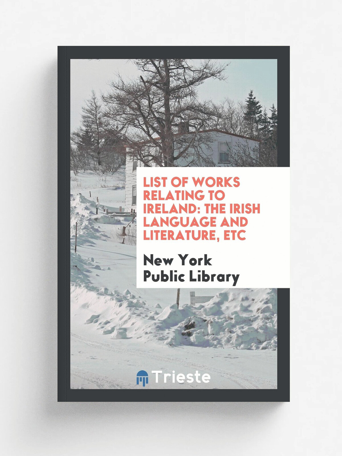 List of Works Relating to Ireland. The Irish Language and Literature, Etc