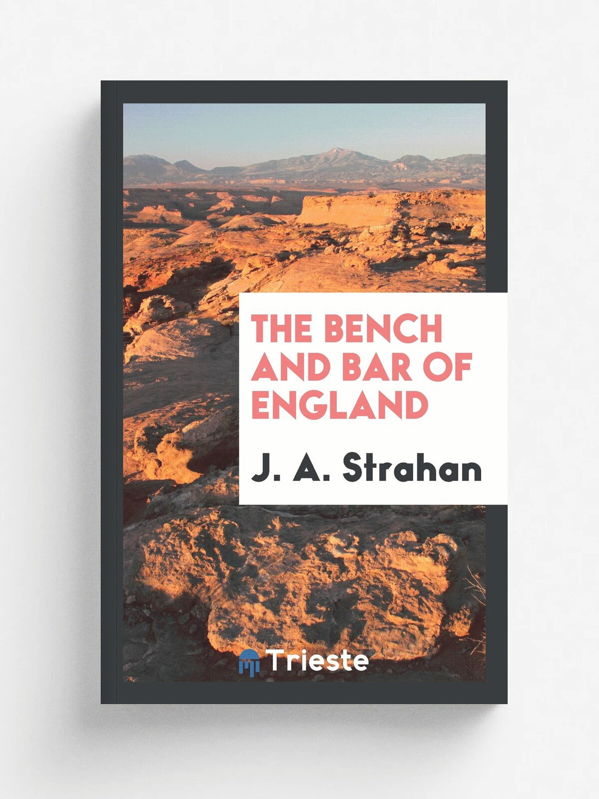 The Bench and Bar of England
