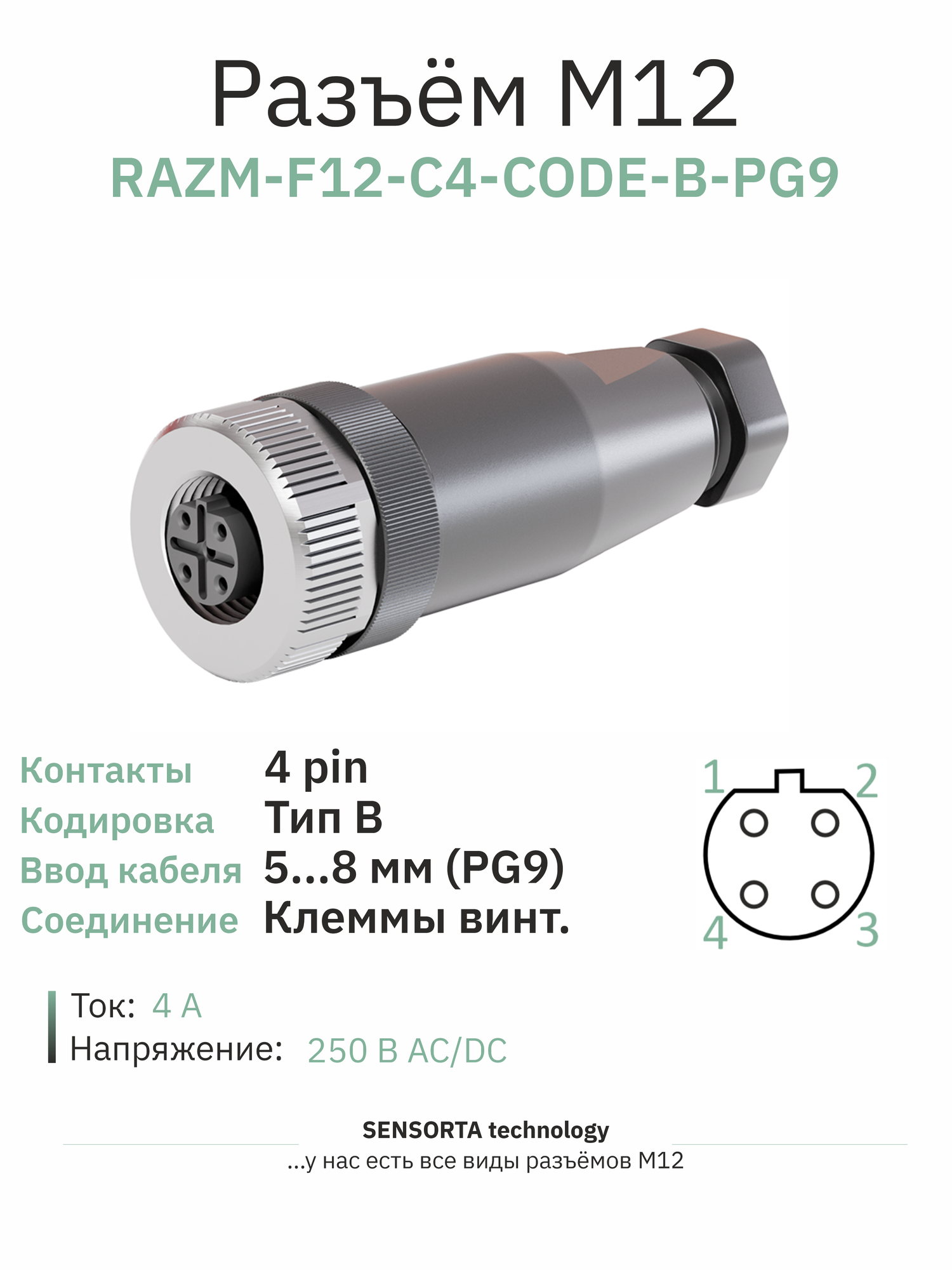 RAZM-F12-C4-CODE-B-PG9 разъём М12 B-coding 4 pin прямой / розетка (мама) / PG9 (5-8 мм диаметр под кабель)
