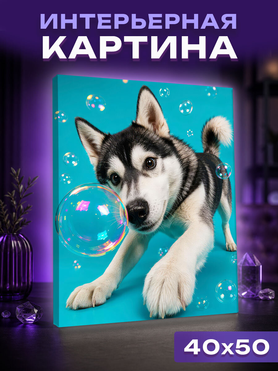 Интерьерная картина Хаски ловит глянцевые мыльные пузыри