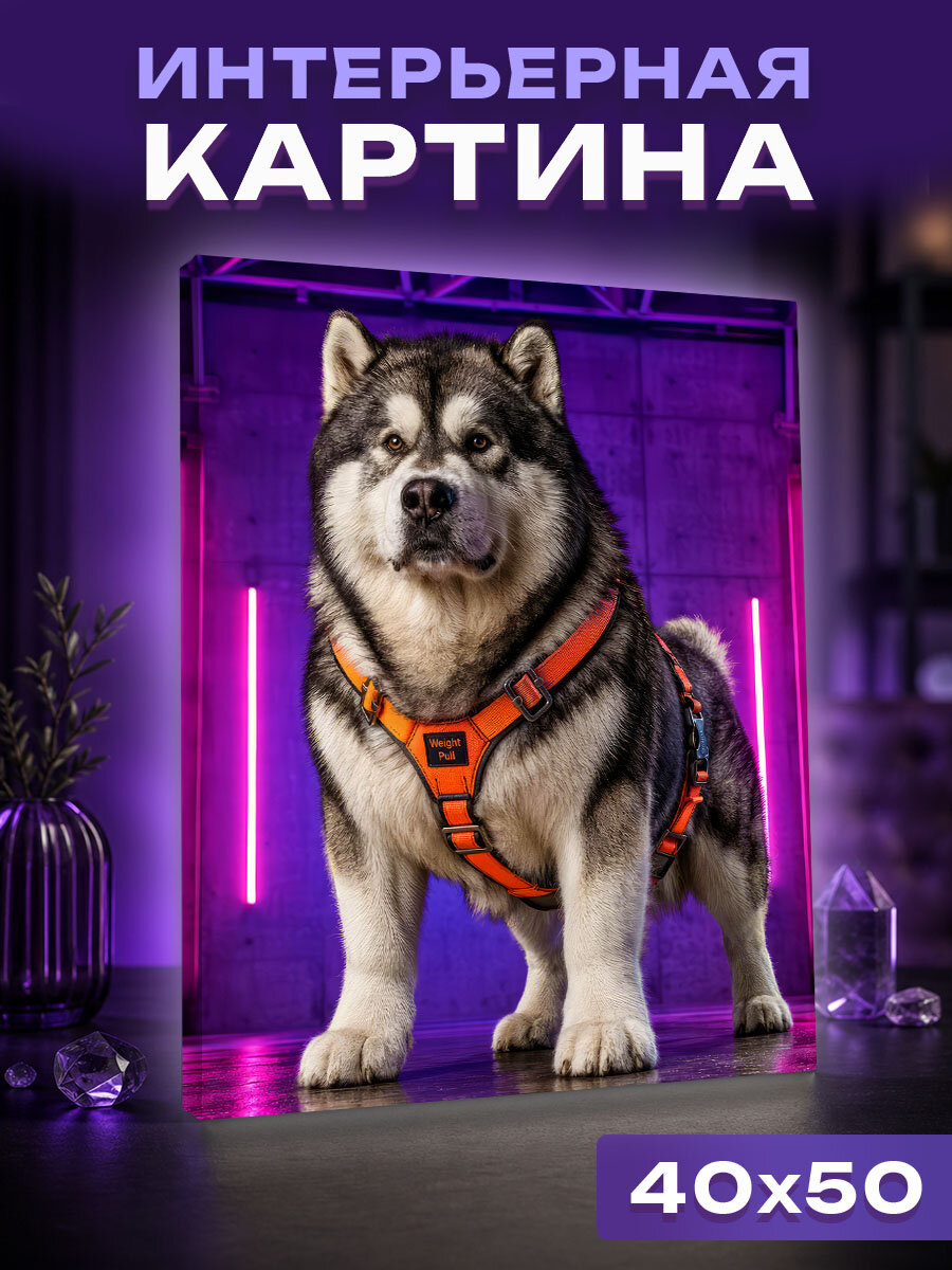 Интерьерная картина Аляскинский маламут на лофт-корте