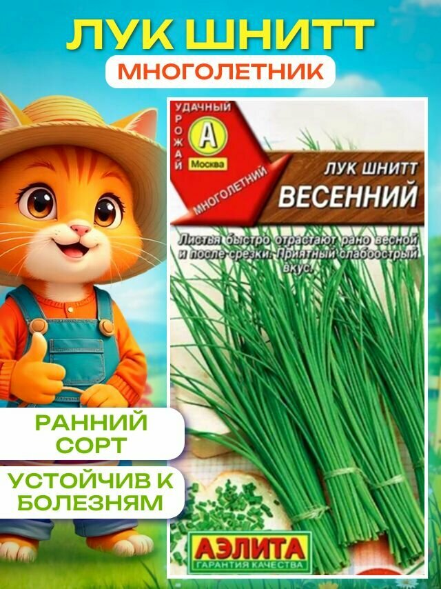 Лук шнитт Весенний, семена лука на зелень Агрофирма аэлита 0,5г на зелень Весенний шнитт-лук