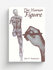 The Human Figure