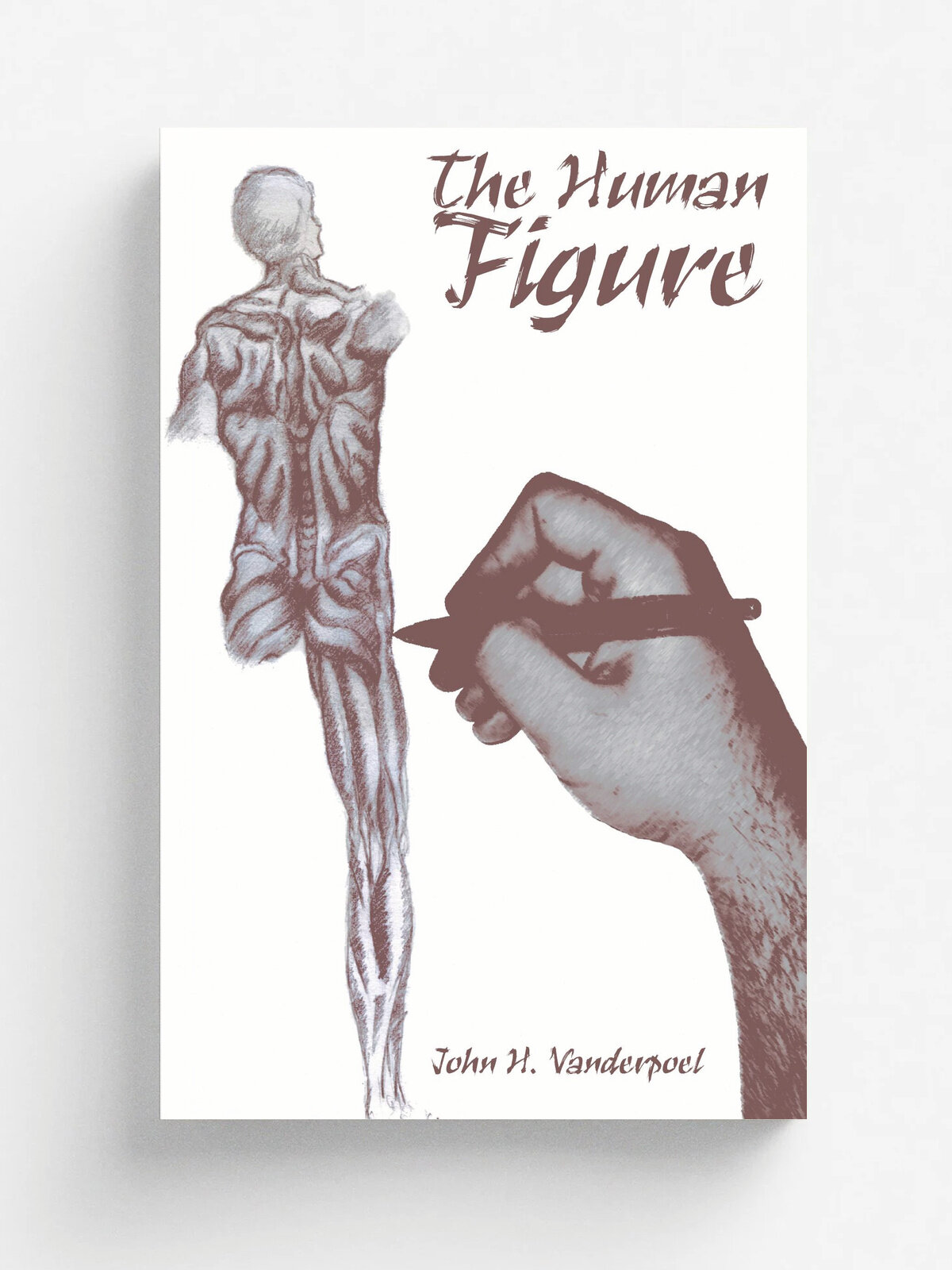The Human Figure