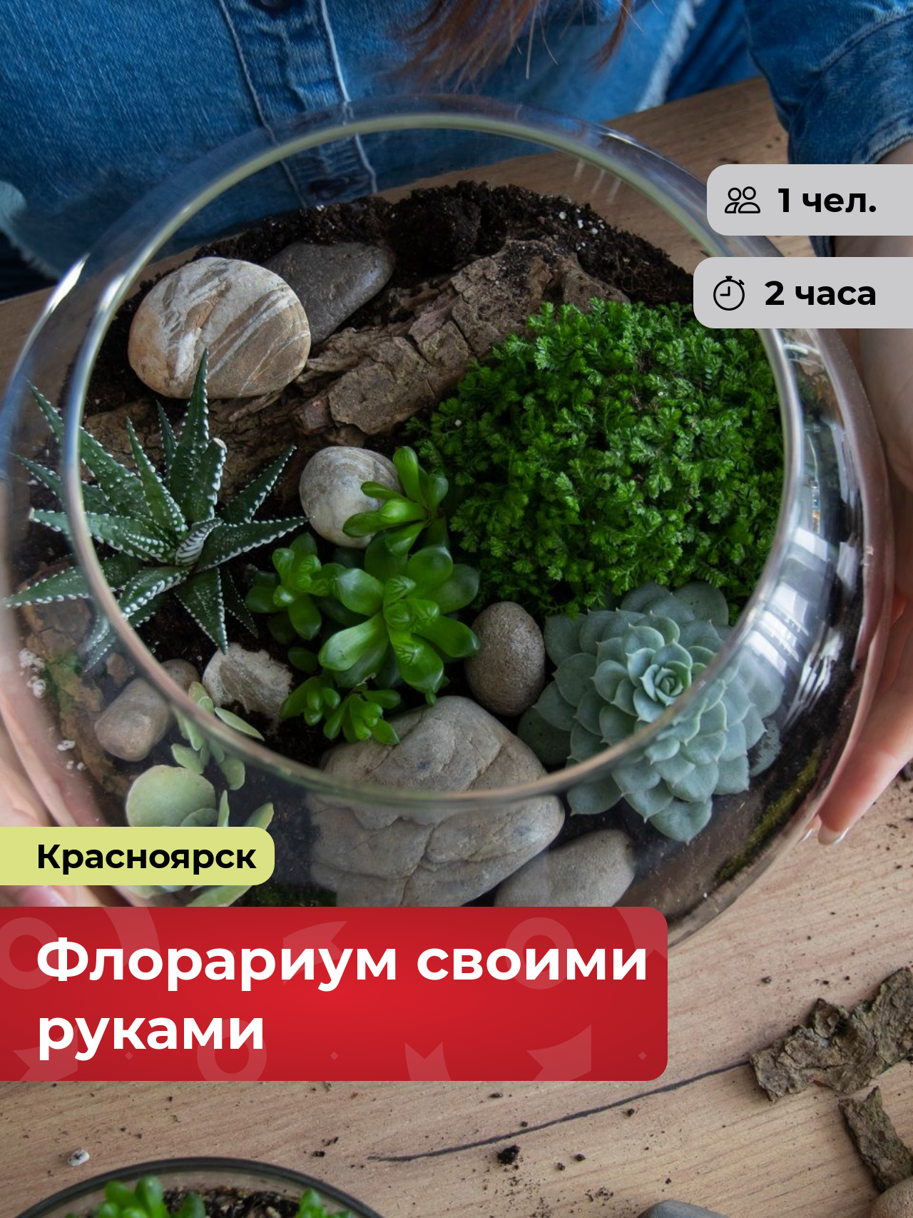 Подарочный сертификат bonodono Мастер-класс по созданию флорариума «Мини-сад.», г. Красноярск