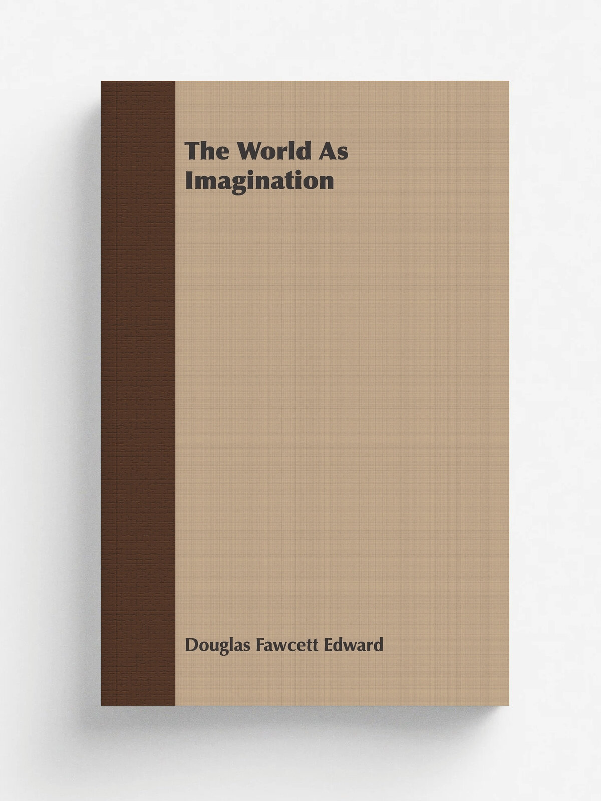 The World As Imagination