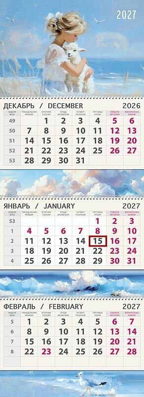 Календарь квартальный настенный трехблочный. 2027 год. 295х210. Друзья.