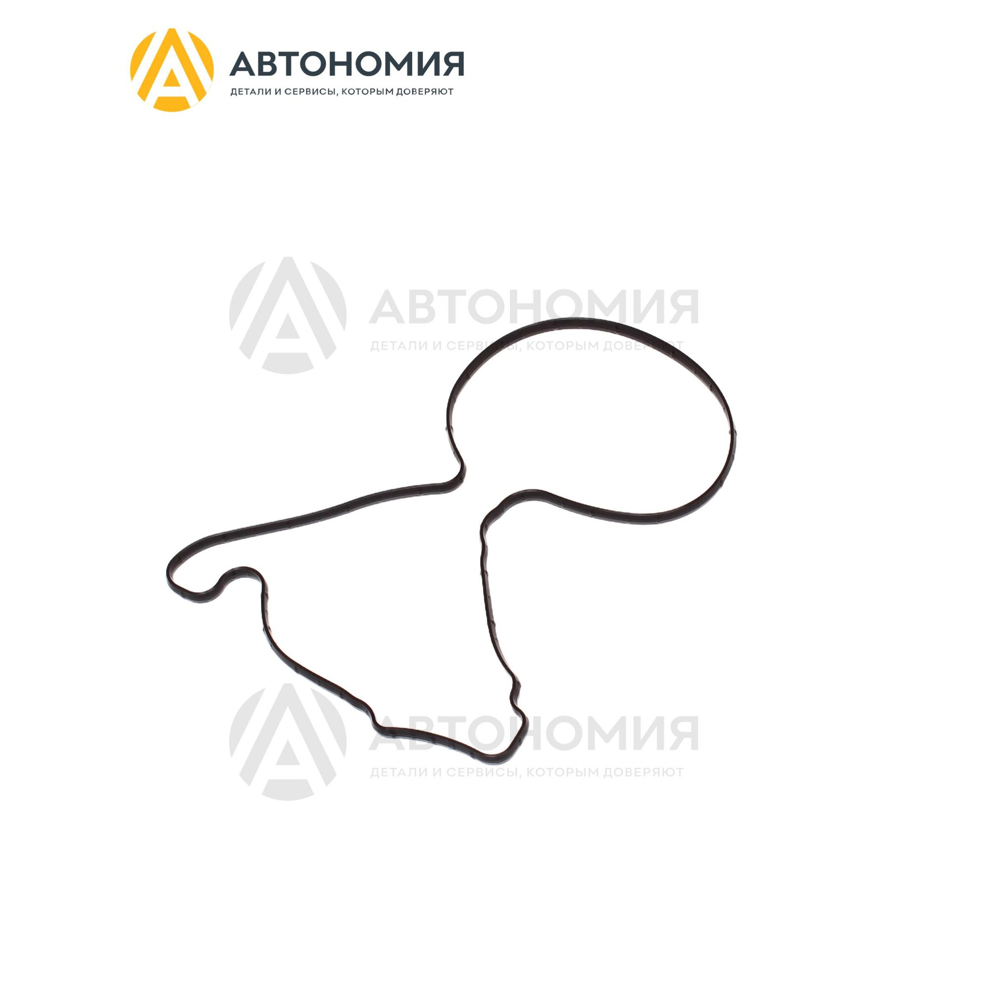 Прокладка водяного насоса Hyundai/KIA 21355-3C510