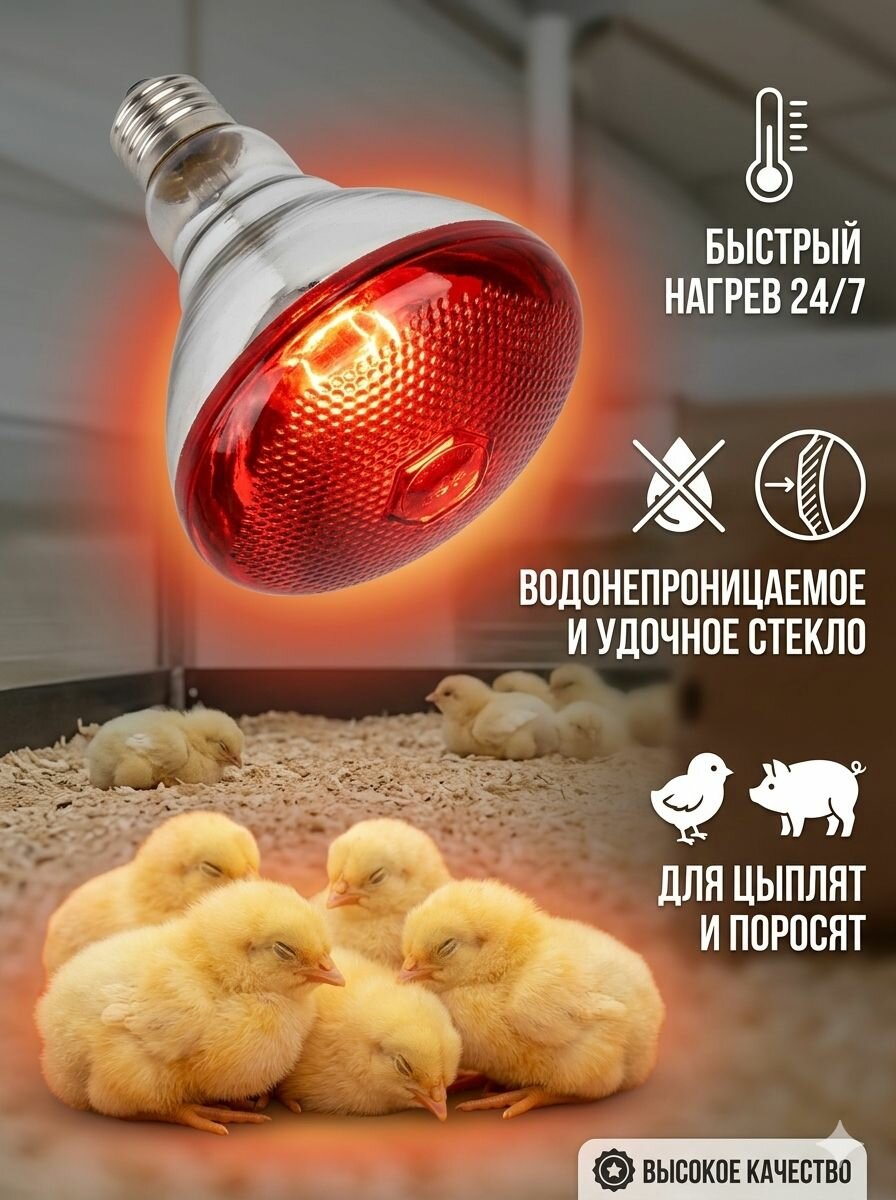 Инфракрасная лампа для курятника цыплят птиц животных 100W цоколь E27, 1 шт / Инфракрасная лампа для обогрева для обогрева курятника для обогрева цыплят