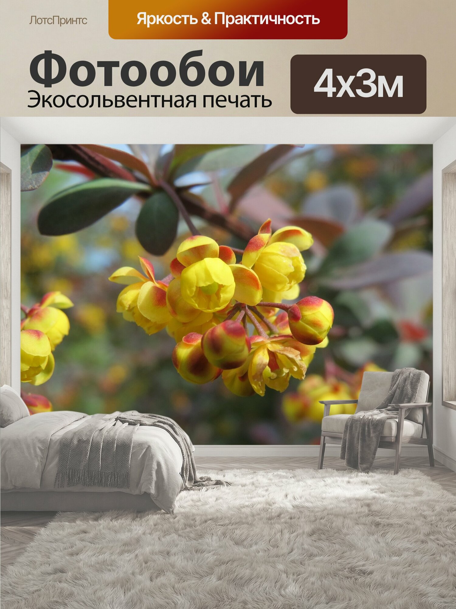 Фотообои "Берберис, барбарис, кустарник" 400x300 см. экосольвентная печать