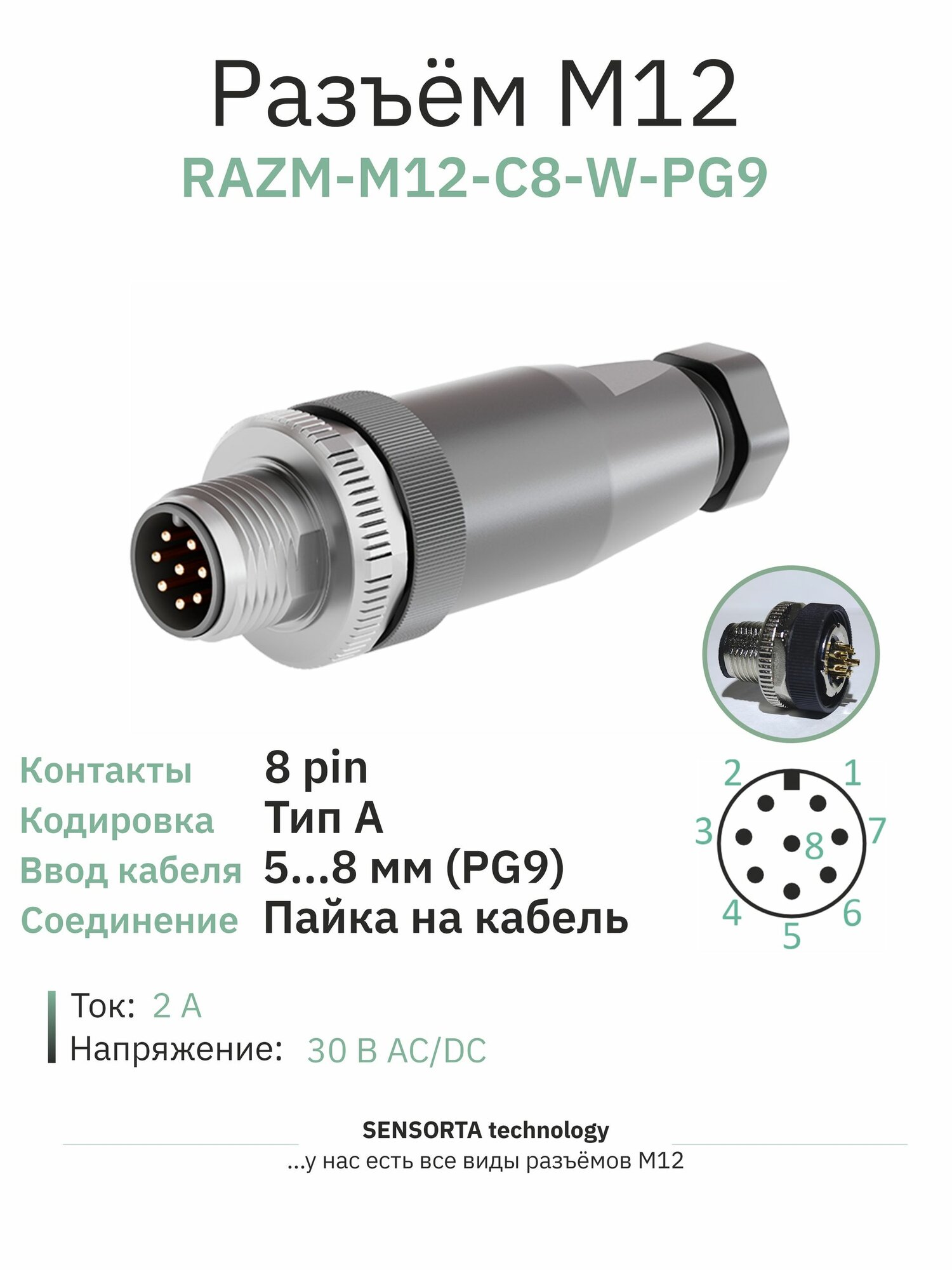 RAZM-M12-C8-W-PG9 разъём М12 8 pin прямой / вилка (папа) / PG9 (5-8 мм диаметр под кабель)