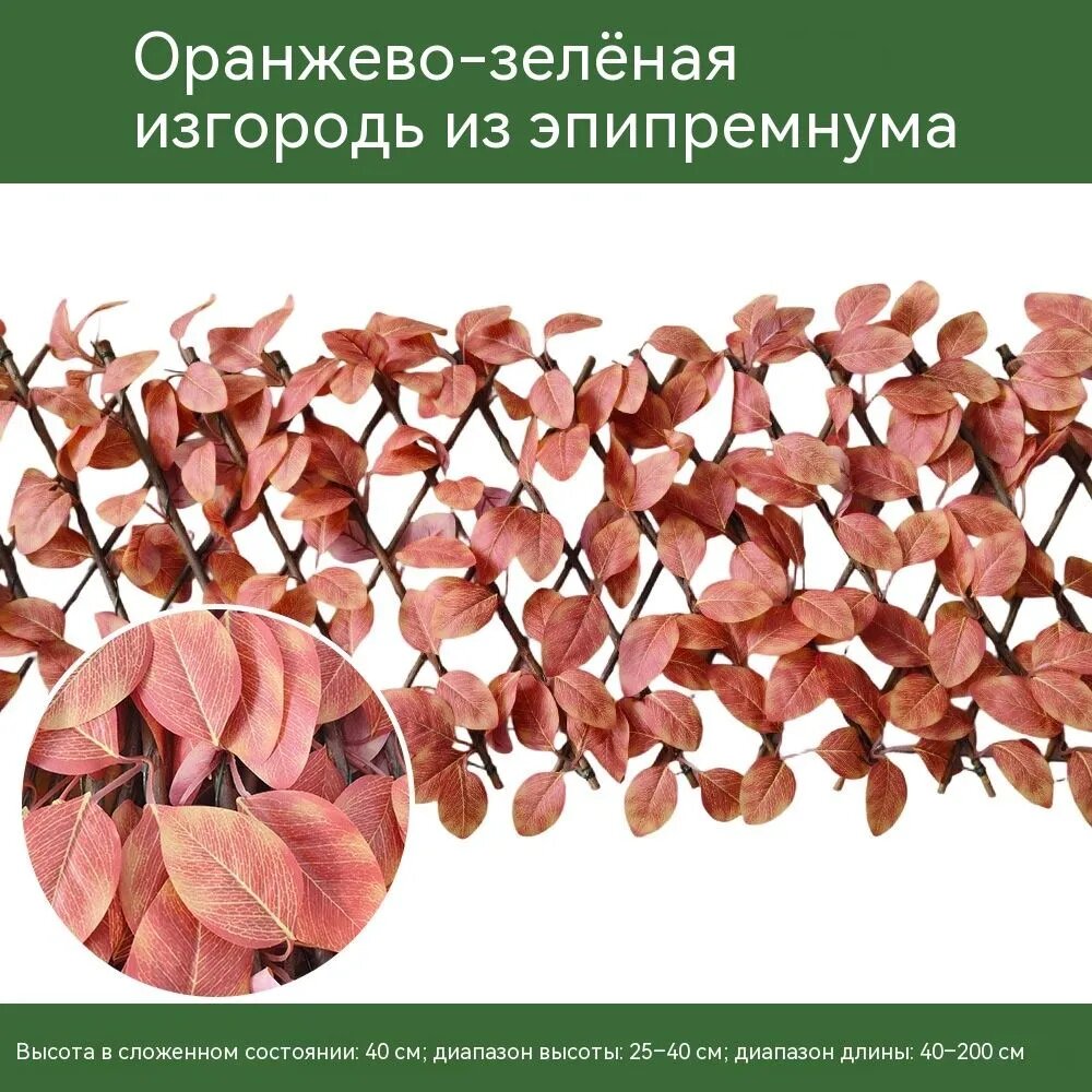 Стабилизированные цветы, 1 шт, Изгородь декоративная, светло-коричневый, Китай