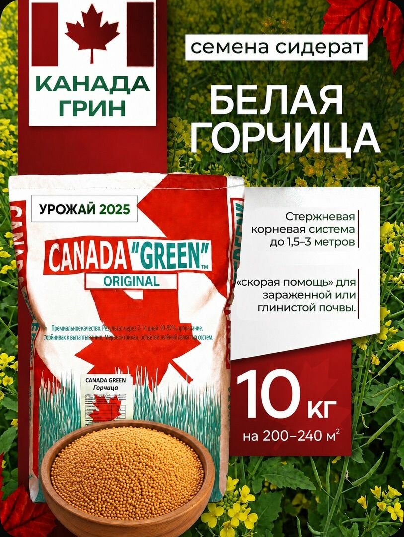 Горчица белая 10 кг семена сидерат для посева Канада Грин сидерат для удобрения почвы посевной материал для огорода