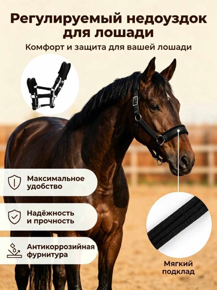 Недоуздок для лошади, флисовый недоуздок с мягкой подкладкой