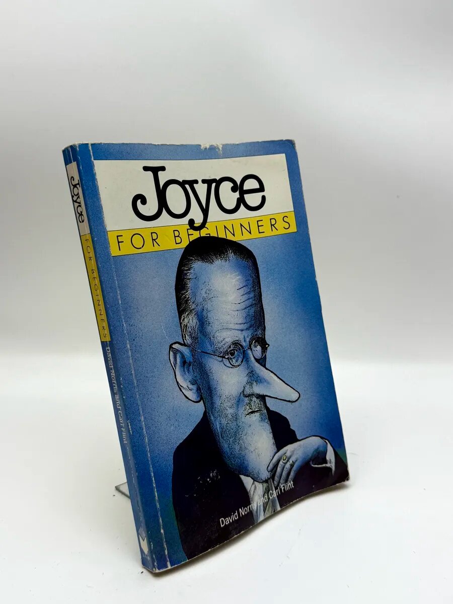 David Norris; Carl Flint. Joyce for Beginners