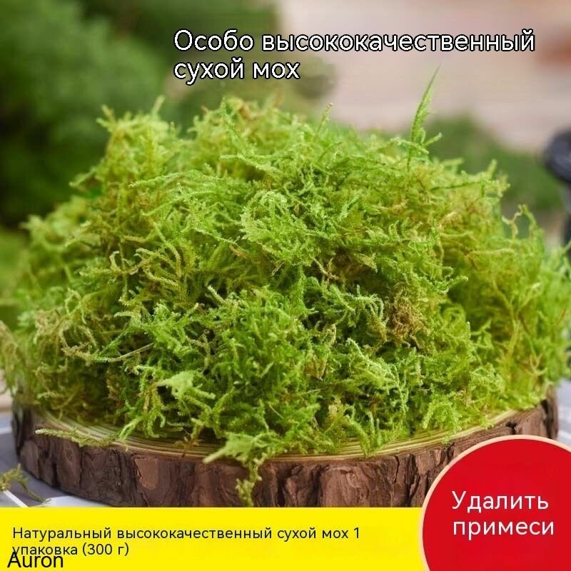 Искусственная трава декоративная зеленая, комплект из сухого мха бонсай для интерьера и ландшафтного дизайна, вес 350 г
