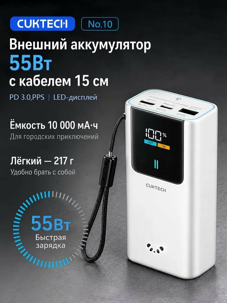 Повербанк PB1055, 10000mAh, быстрая зарядка, цифровой дисплей, ремешок, USB-C