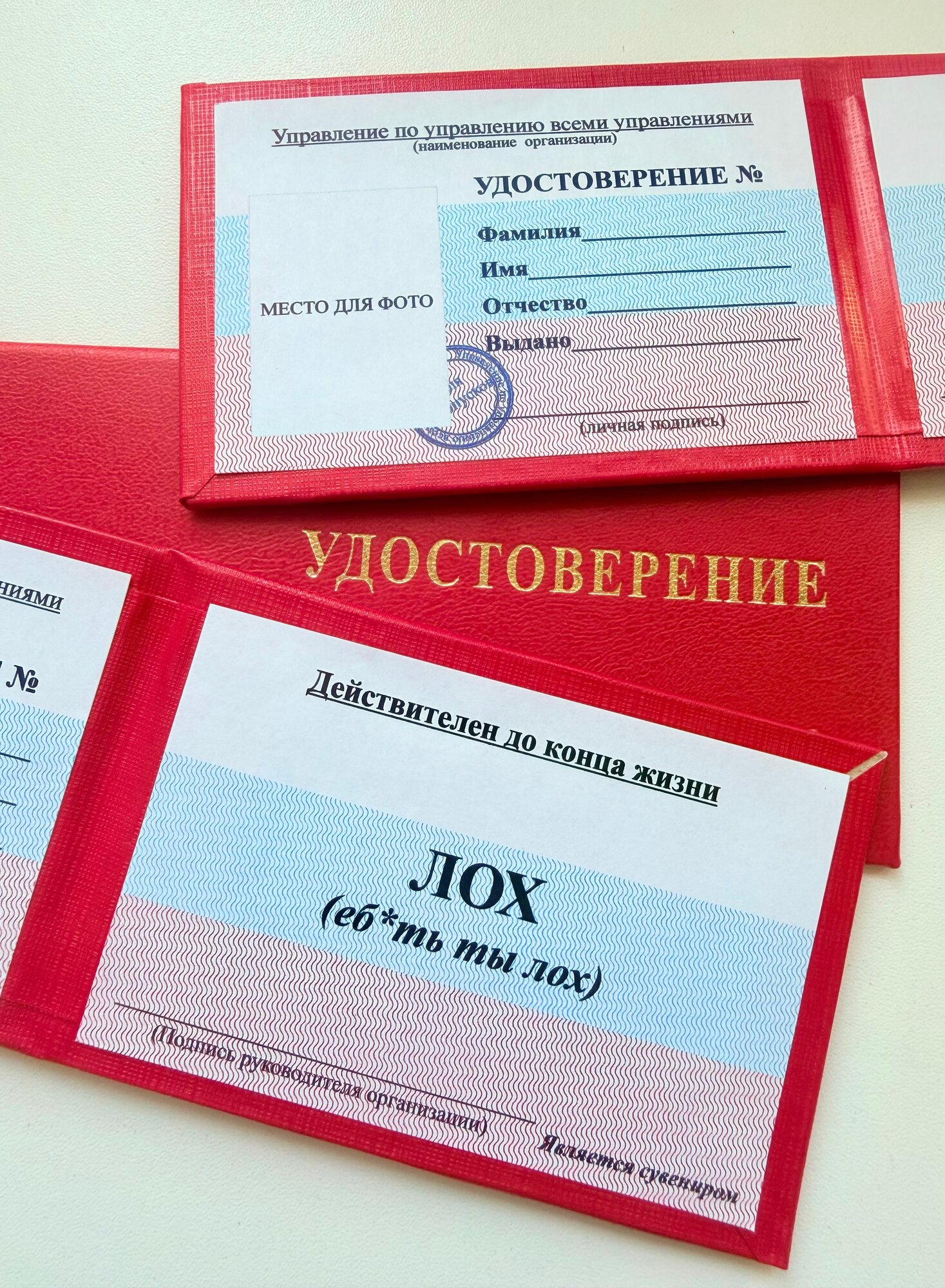 Удостоверение сувенирное ксива лох