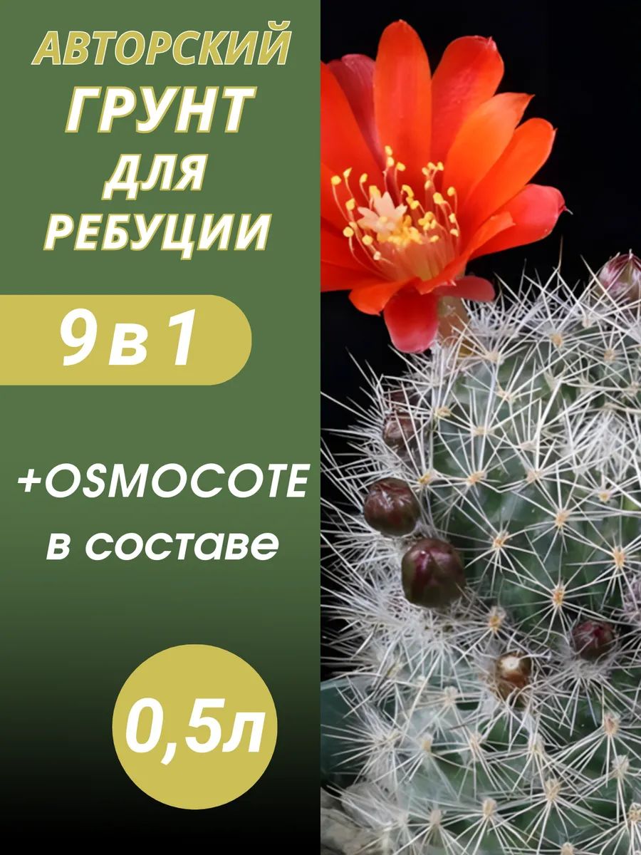 Грунт для Ребуции 0.5л готовый