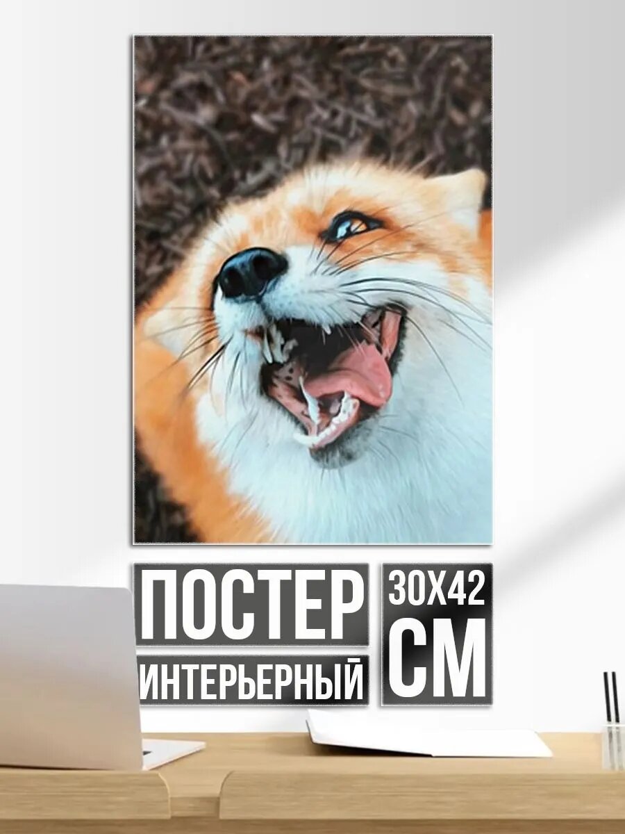 Постер на стену Довольная лиса
