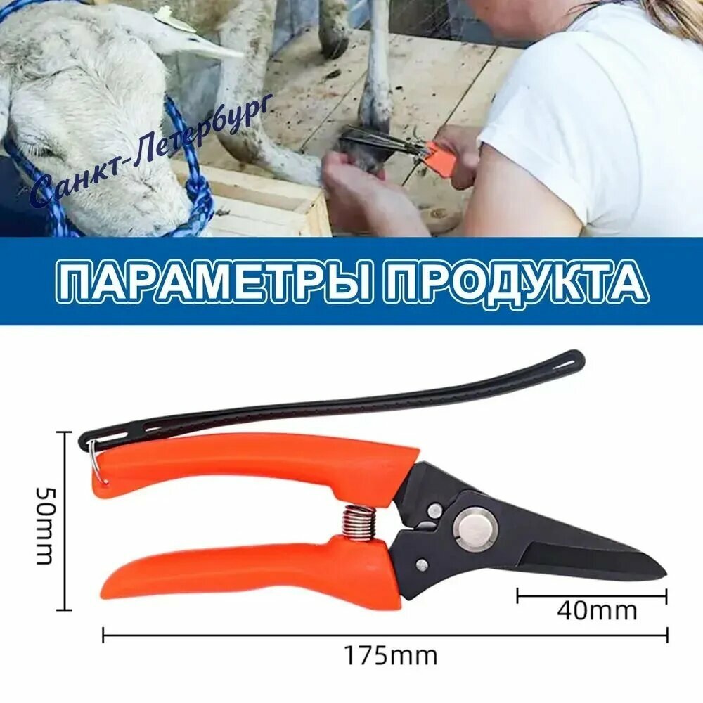 Ножницы для обрезки копыт коз овец / инструмент, секатор, кусачки копытные для стрижки сельхоз животных-