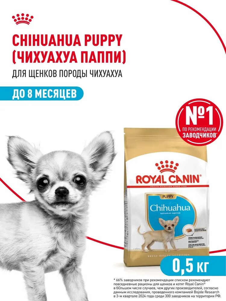 Сухой корм для щенков Royal Canin для породы чихуахуа, 500 г