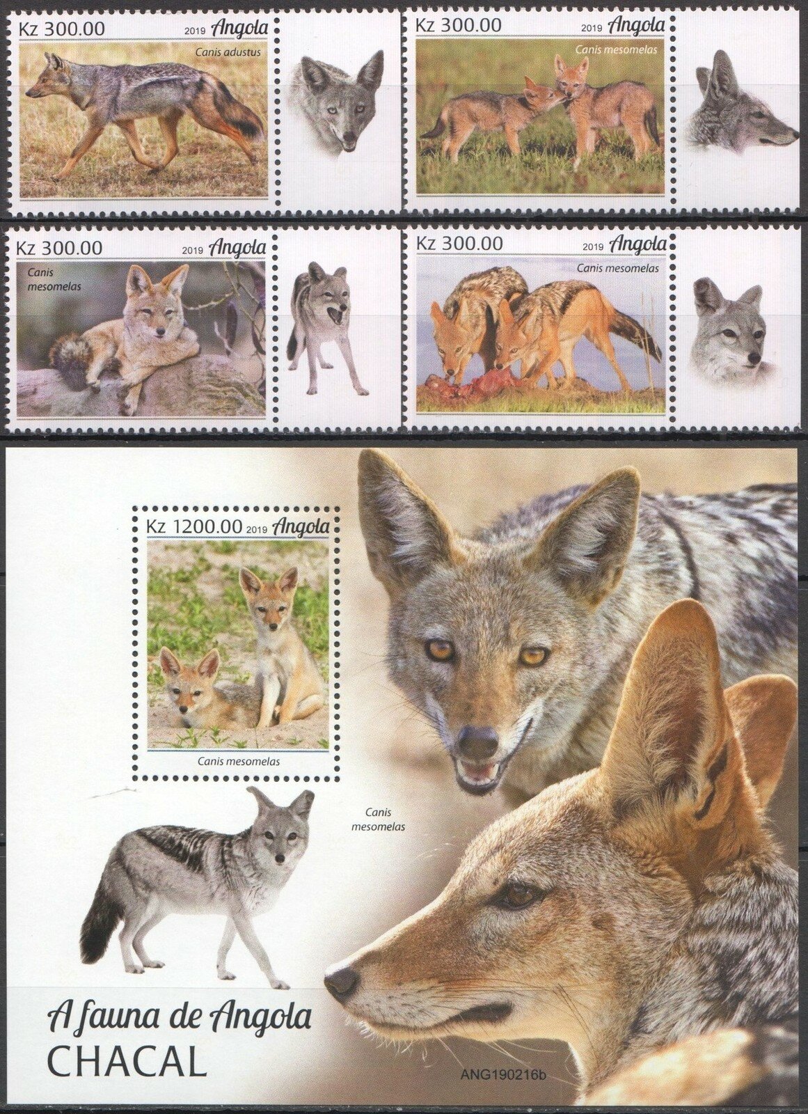 Марки 2019 год Ангола Шакалы Дикие собаки Животные Фауна #2290-2293+Bl223 Mnh