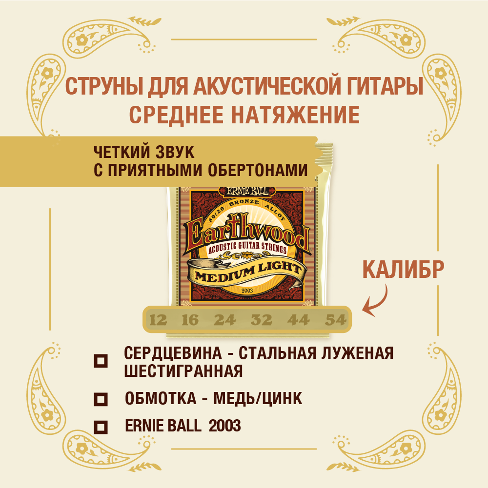 ERNIE BALL 2003 Earthwood 80/20 Bronze Medium Light 12-54 Струны для акустической гитары