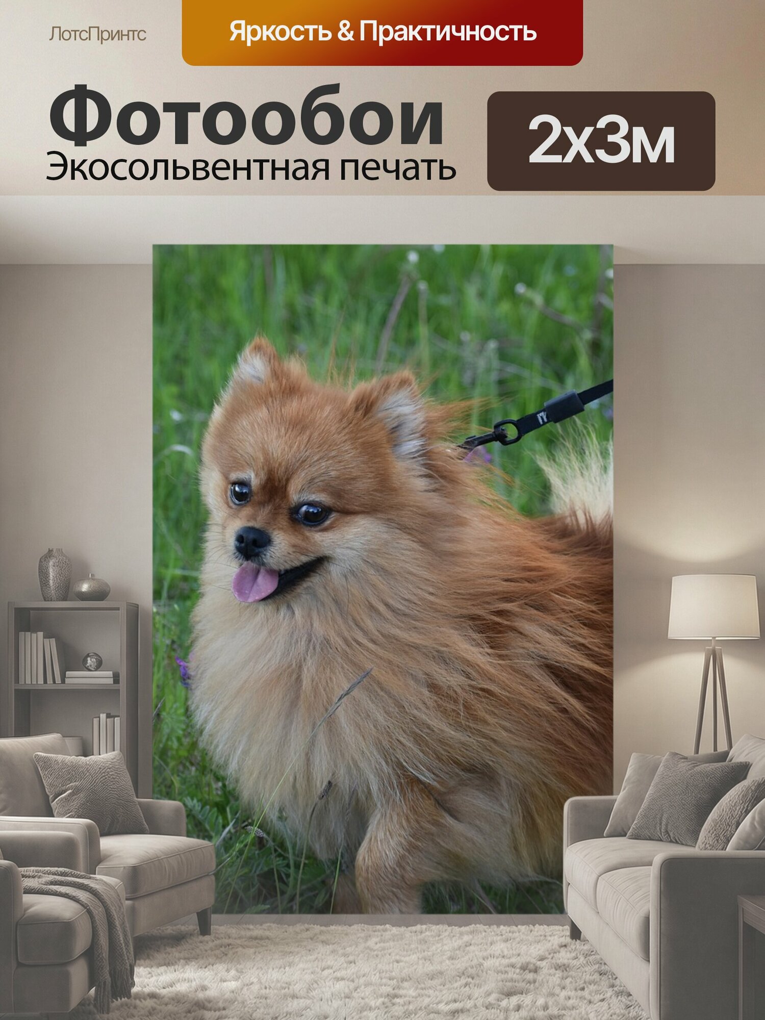 Фотообои "Собака, пес, шпиц" 200x300 см. экосольвентная печать