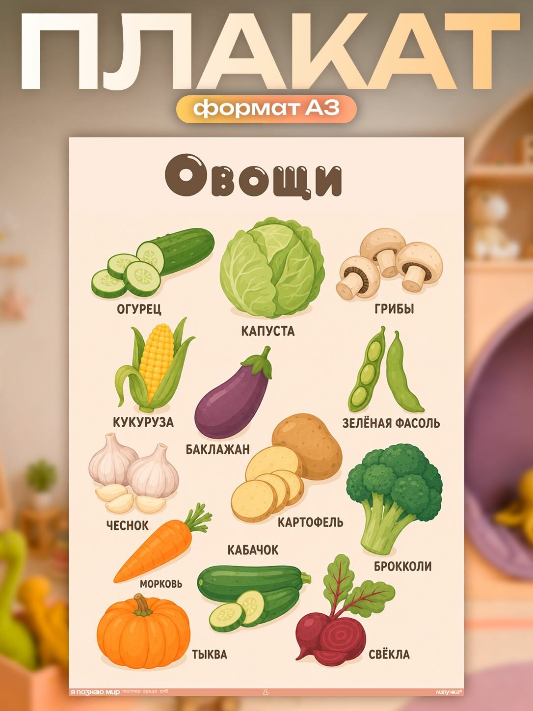Постеры развивающие Овощи окружающий мир